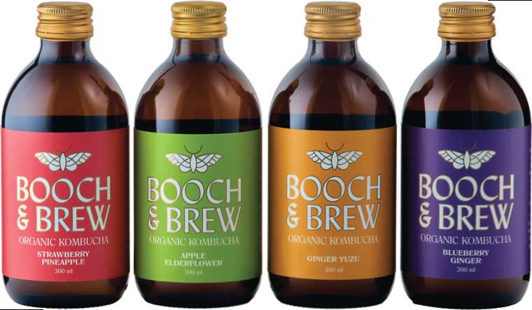 KOM-WHAT-CHA? Kombucha » Northern Life