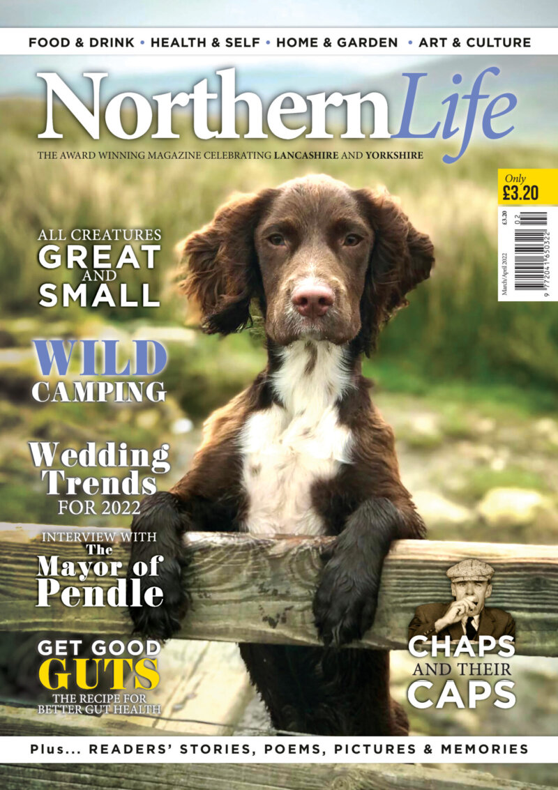 Northern Life magazine