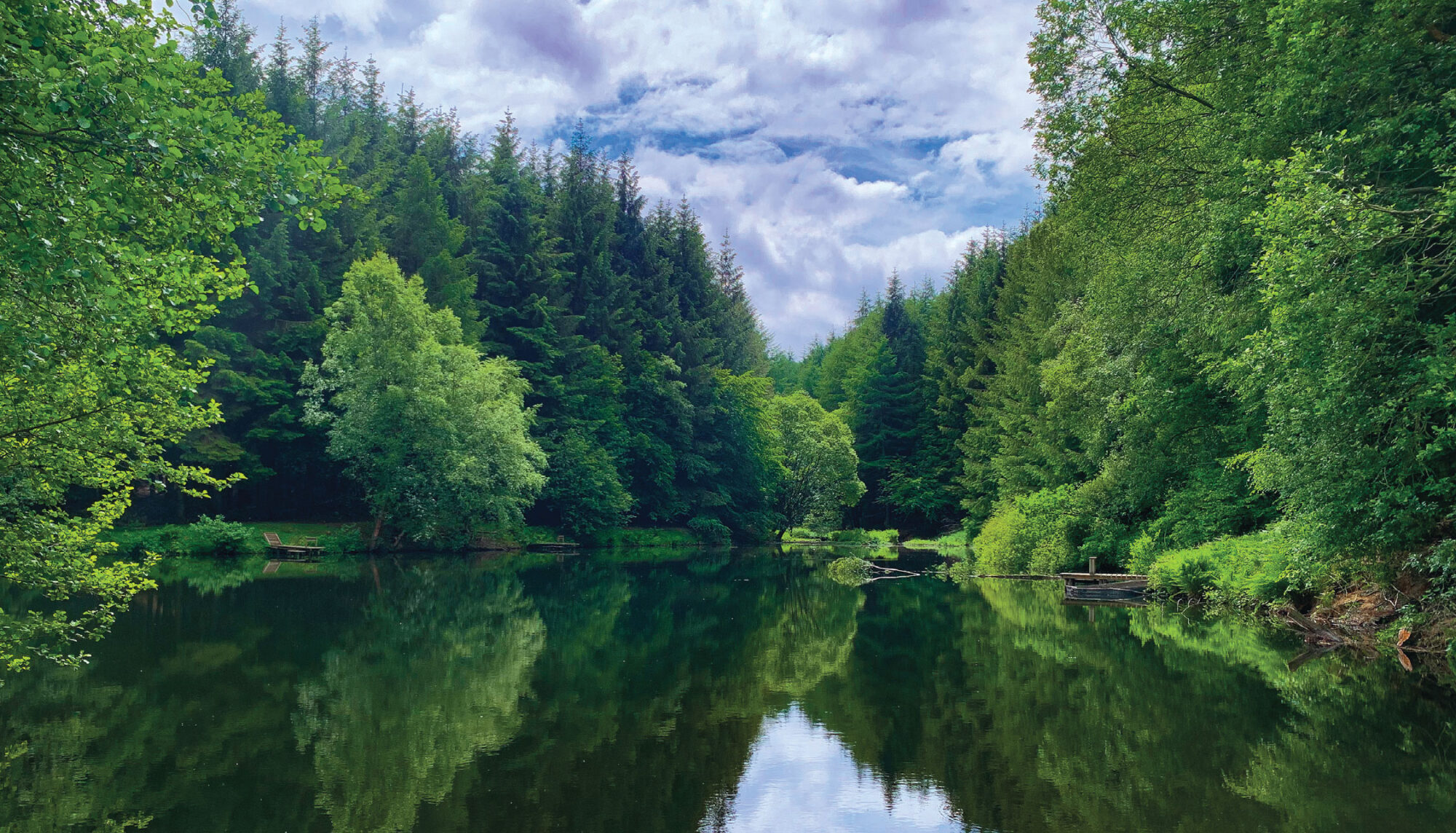 Nature's Healing Power • Northern Life