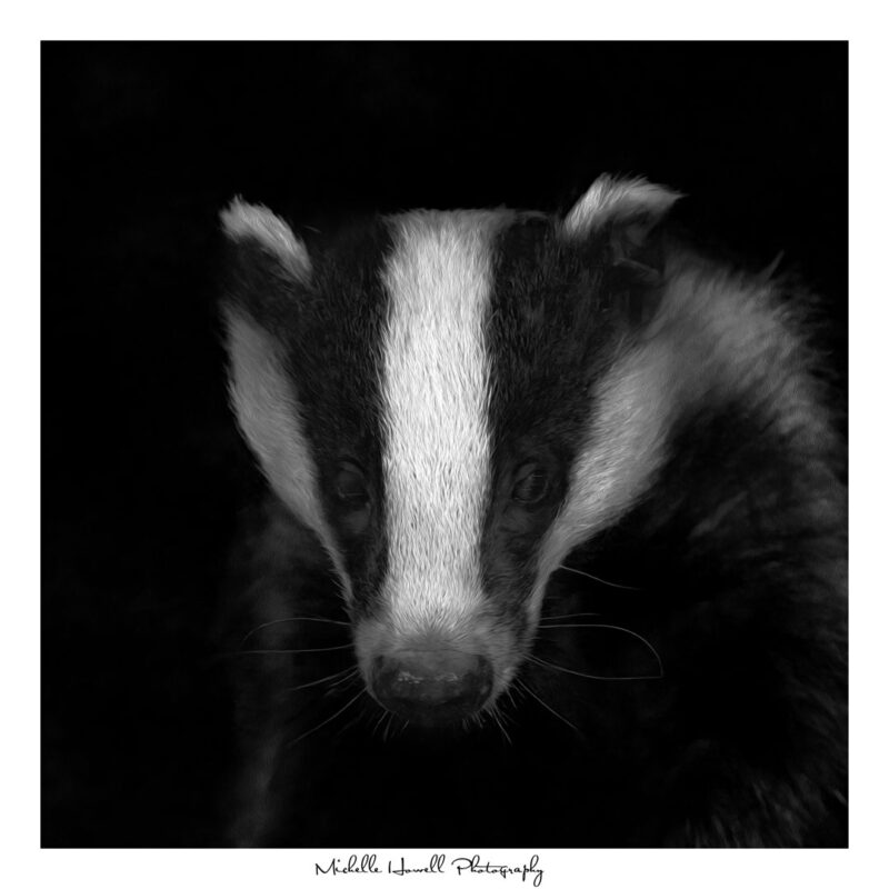 Readers’ Gallery Nov/Dec 22 • Northern Life