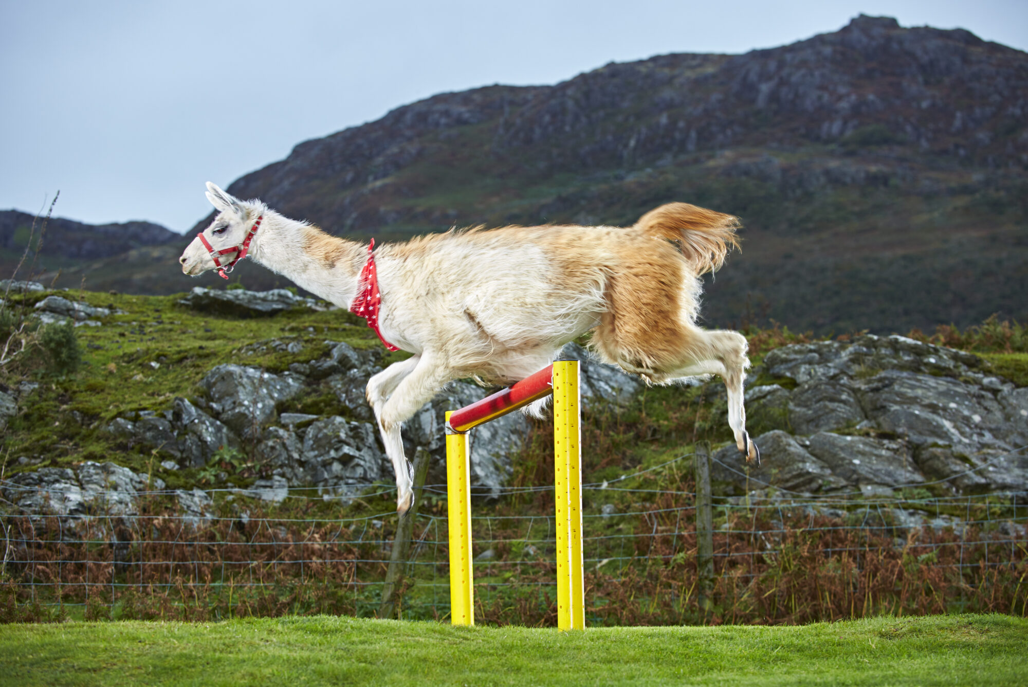 Northern Record Breakers • Northern Life