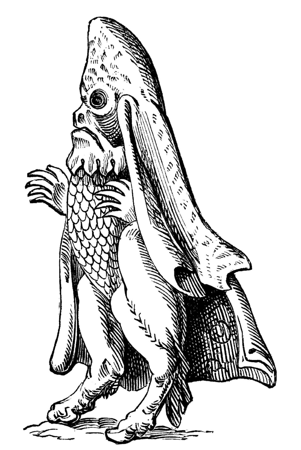 Yorkshire’s ‘Nessie’ - Slippery Sam • Sea Monster UK