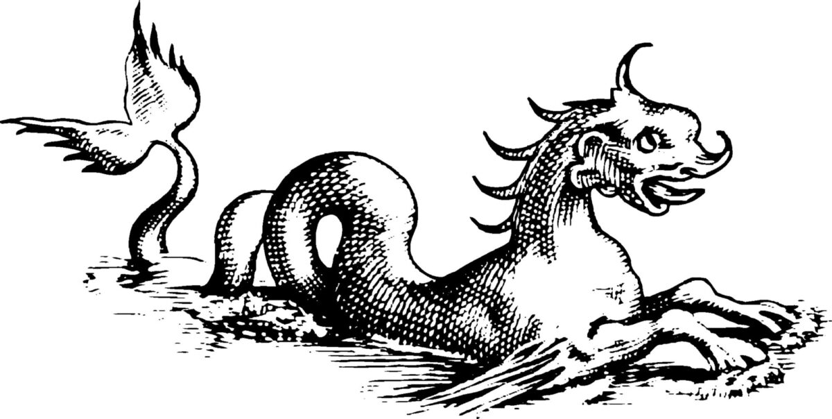 Yorkshire’s ‘Nessie’ - Slippery Sam • Sea Monster UK