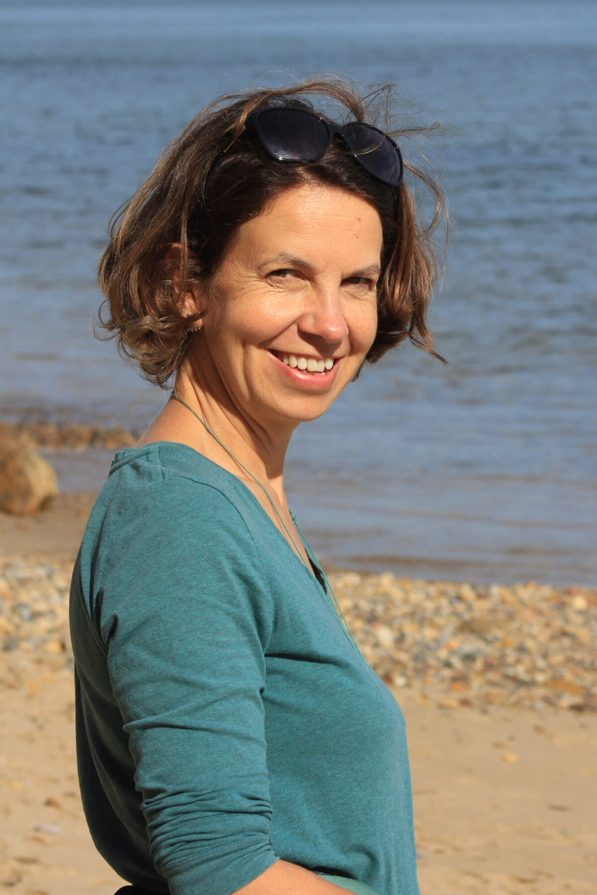 Wild Guide to Yorkshire • Northern Life