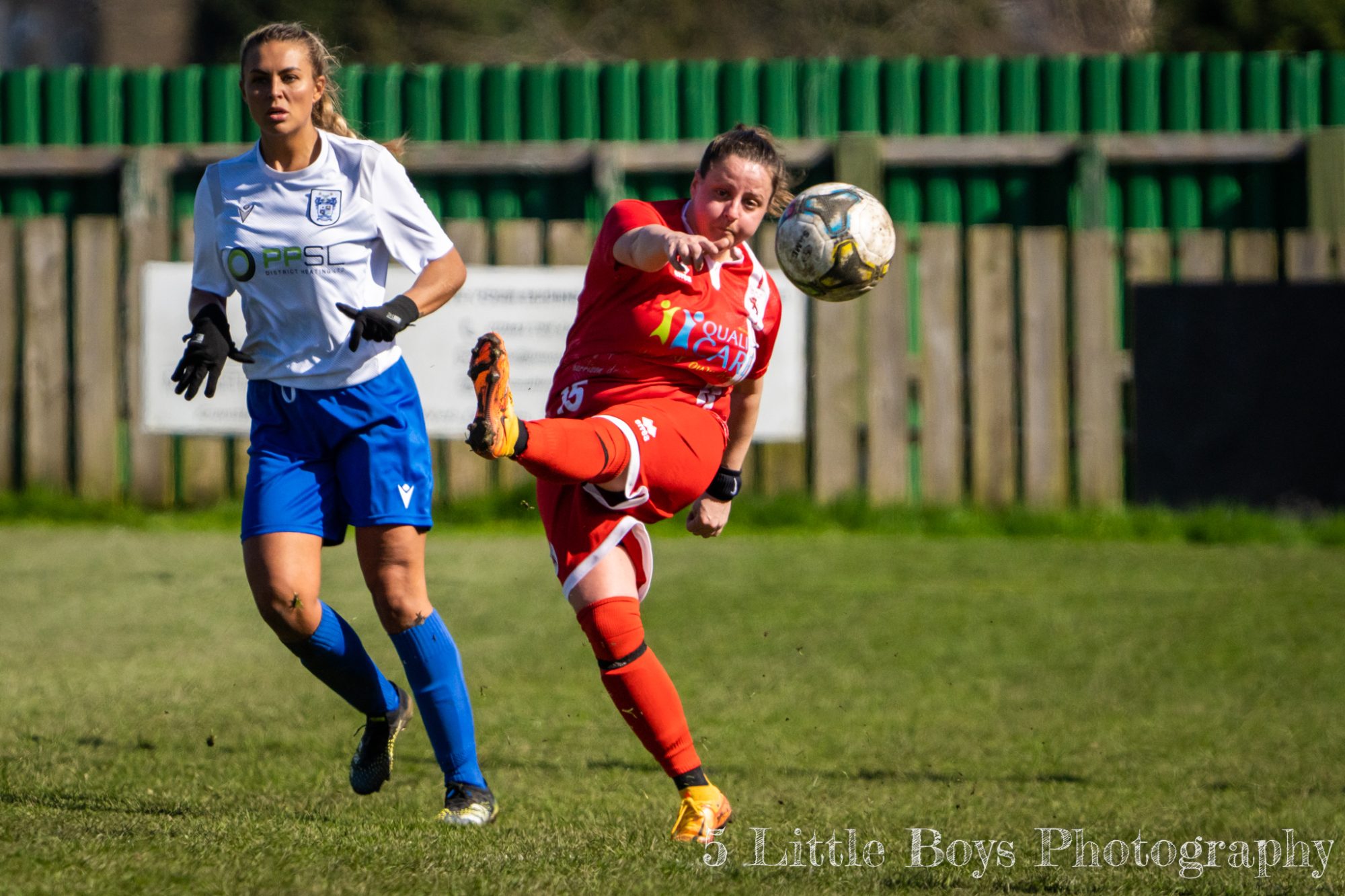 Belles of the Ball • Northern Life