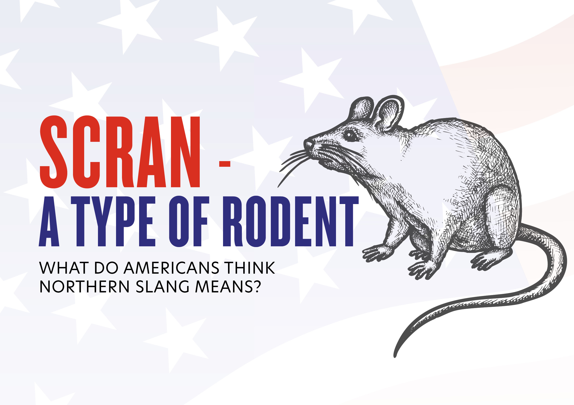 What Do Americans Think Northern Slang Means? • Northern Life