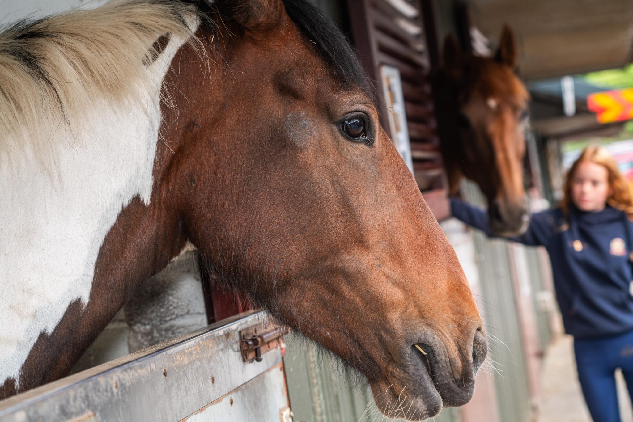 A Day Out Making a Difference: HAPPA • Northern Life