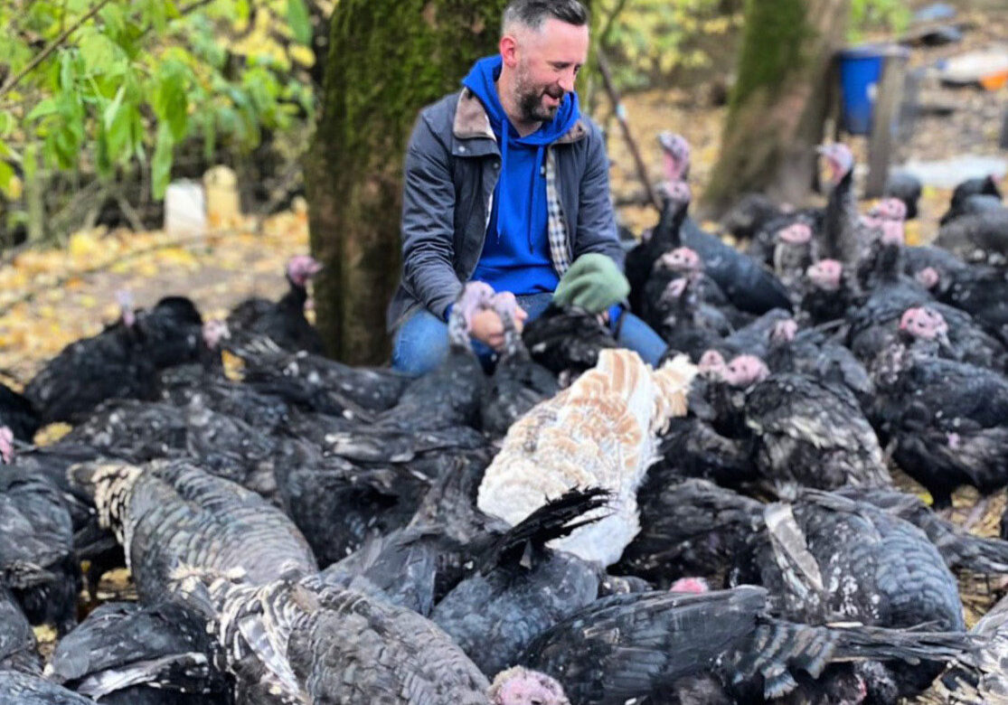 Let's Talk Turkey • Northern Life